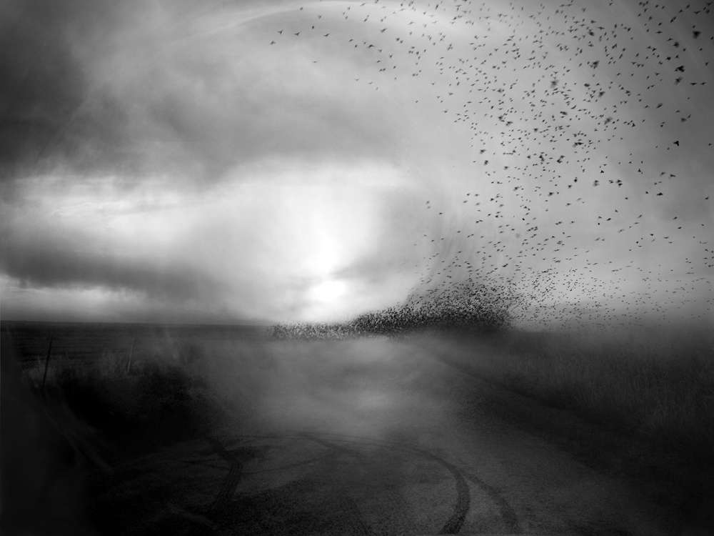 Home by Nightfall — Angela Bacon-Kidwell