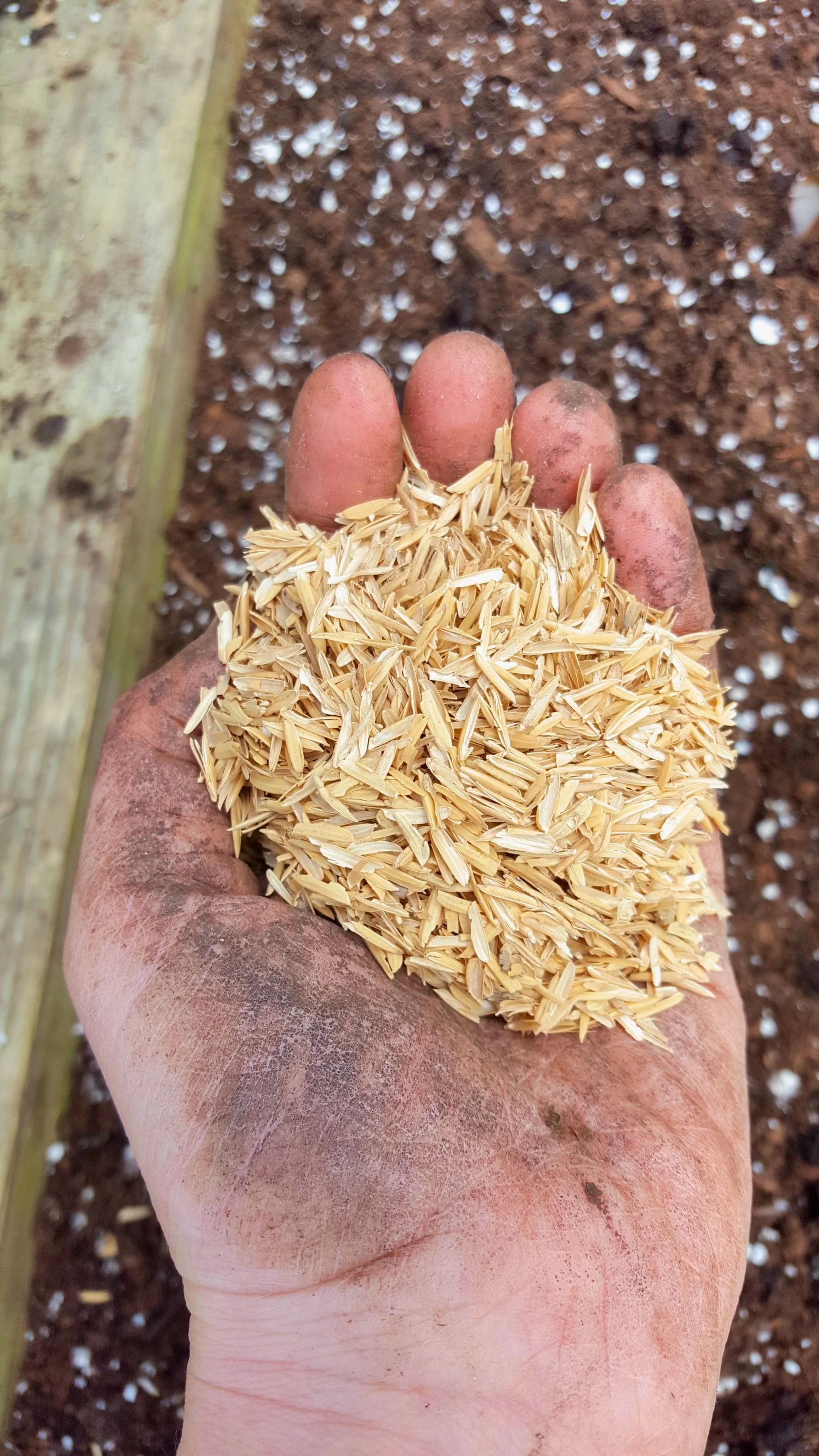 Edible Eden Baltimore Foodscapes— Rice Hulls