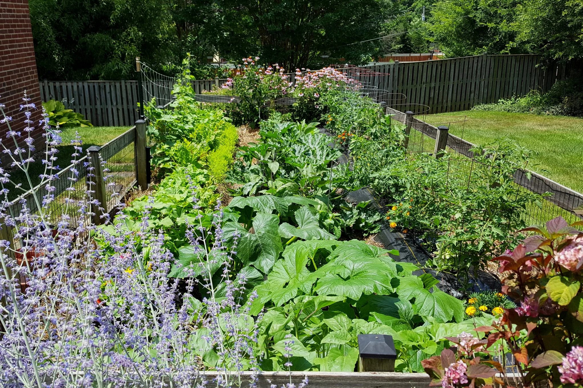 Edible Eden Baltimore Foodscapes — Garden Designs