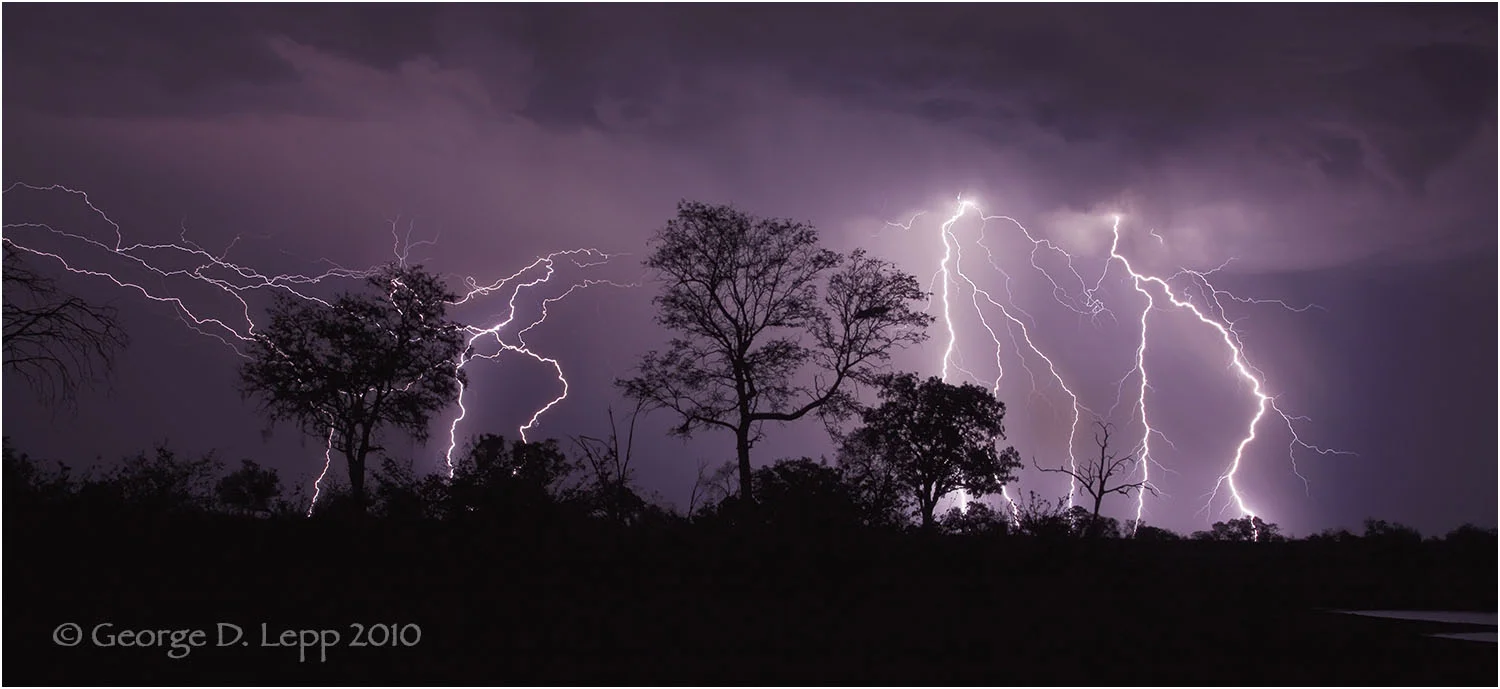 Africa Gallery — George Lepp Imaging