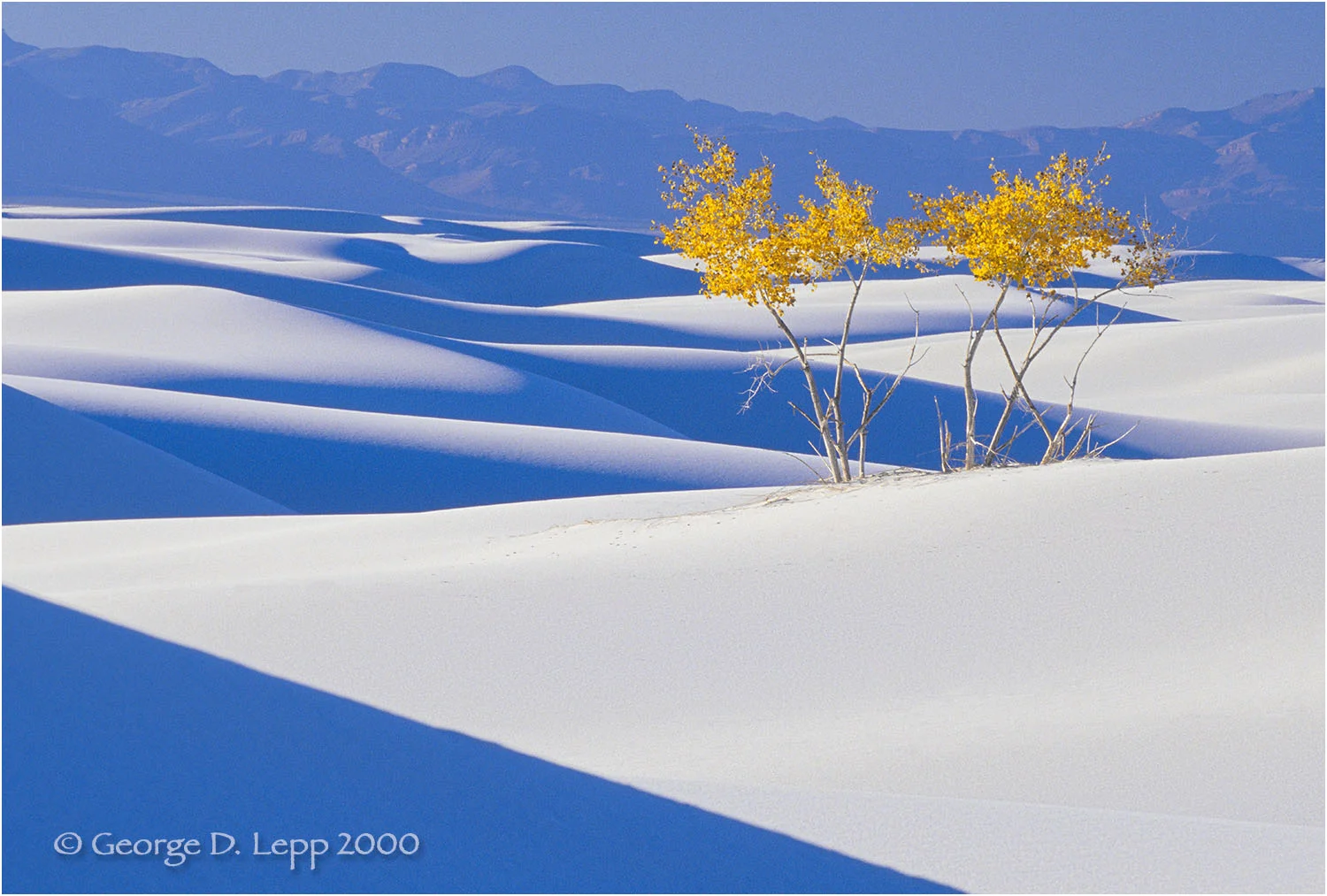 Photo Galleries — George Lepp Imaging