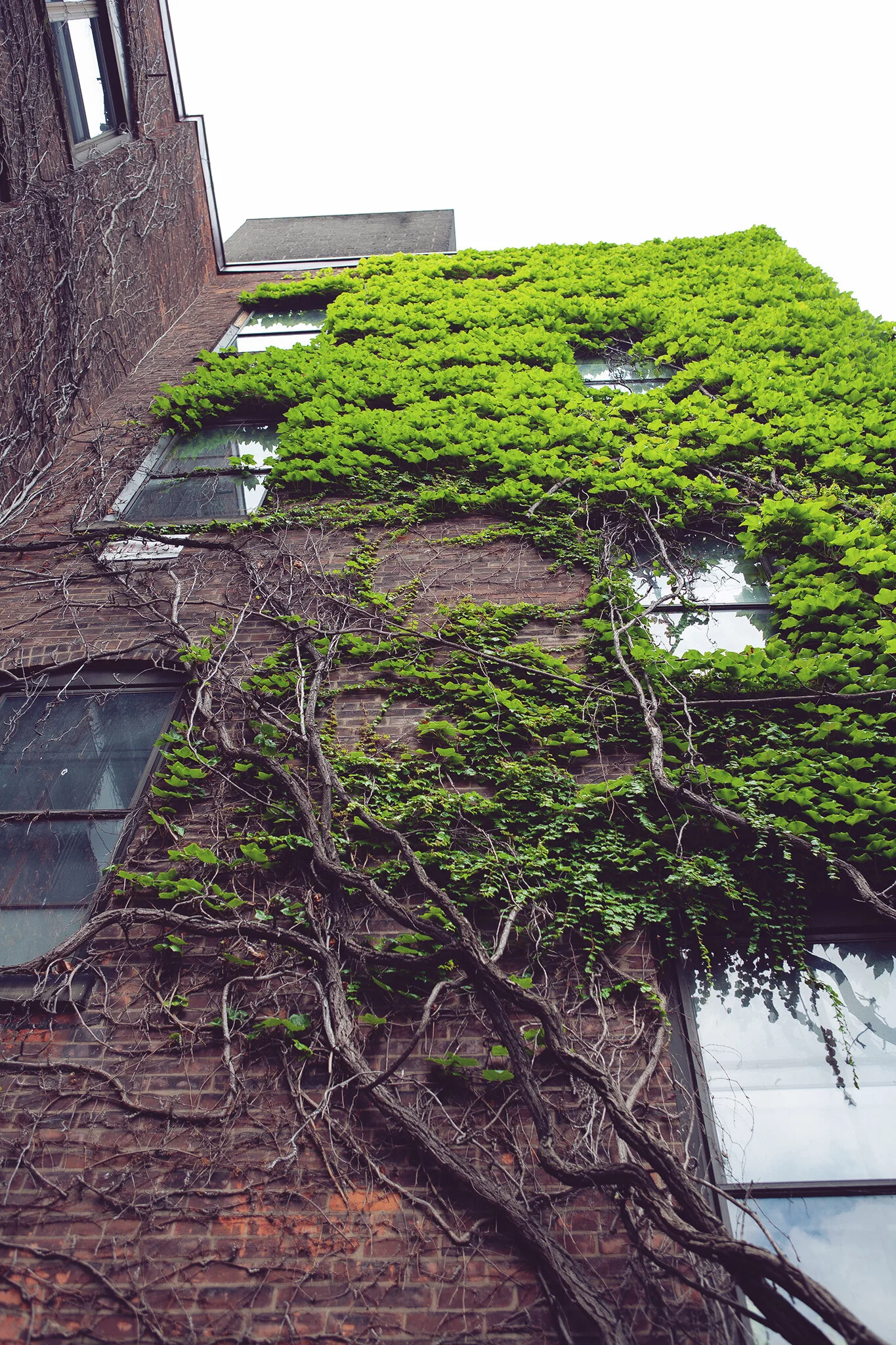 Boudoir Photography Buffalo & Rochester NY | Natasha Staszak ...