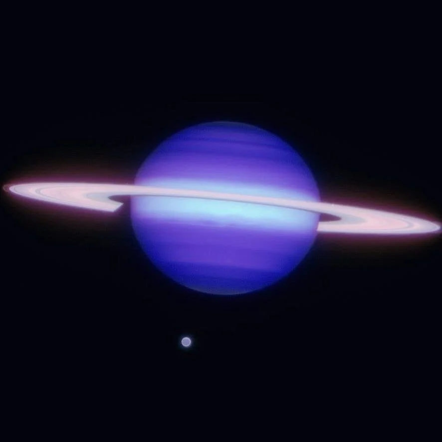 Goddess Of The Week: Adrienne Rozzi — The Hoodwitch