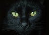 Embracing the Magic of Friday the 13th: Lore, History, and the Divine ...