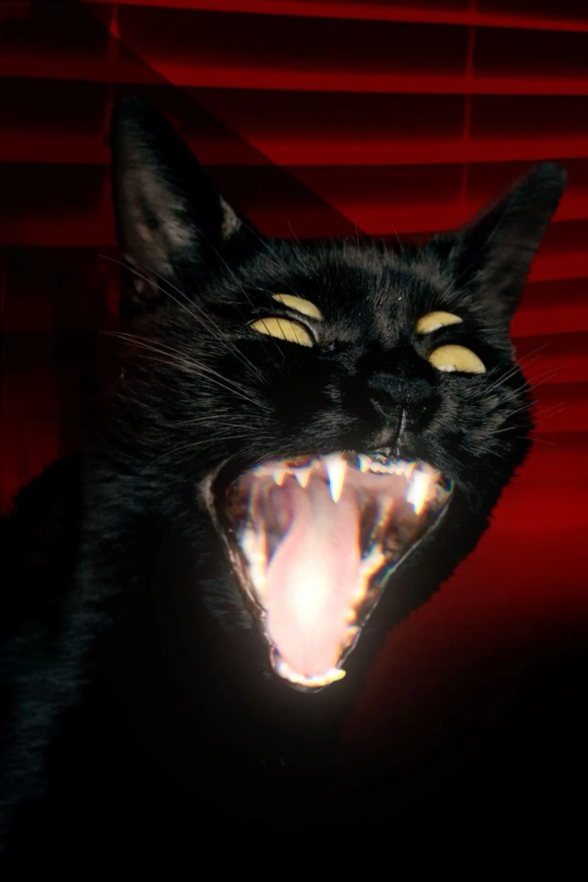 The Truth About Friday the 13th: Witchcraft, Superstition, and ...