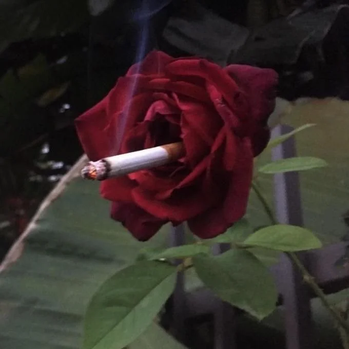 Blog — The Hoodwitch