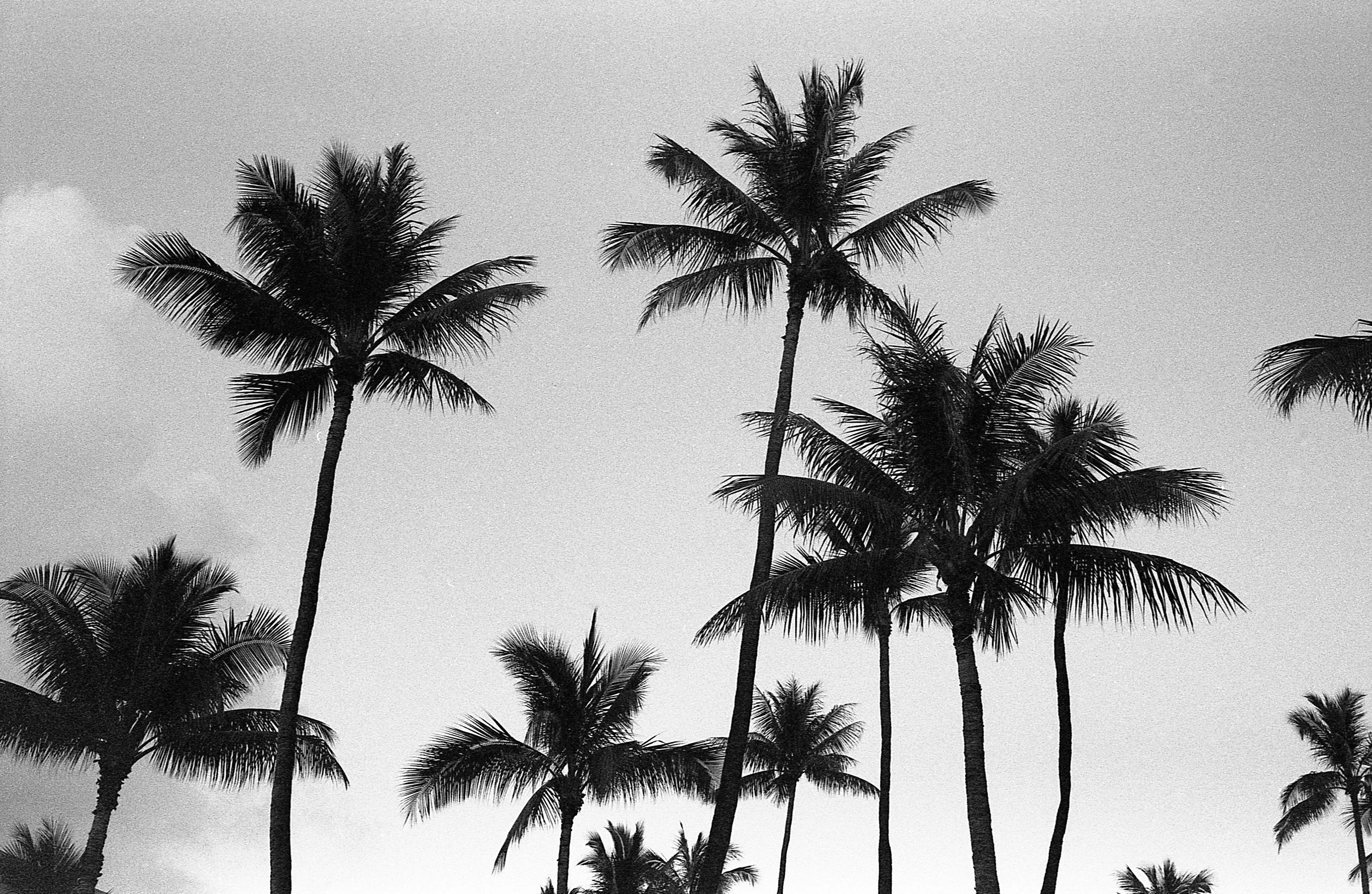 Personal — Wes Hodge