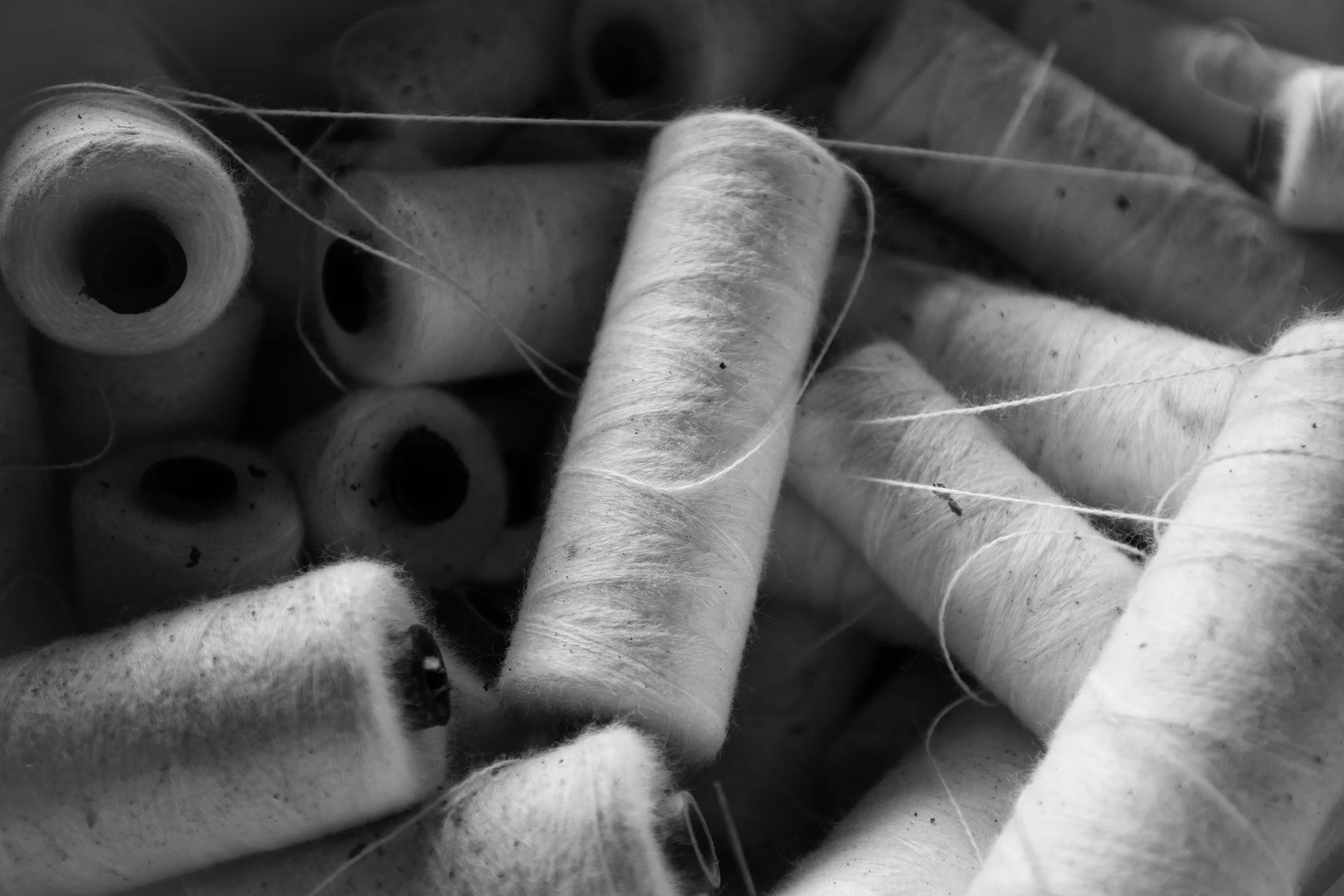 Scranton Lace Company — Joe Carline Photography