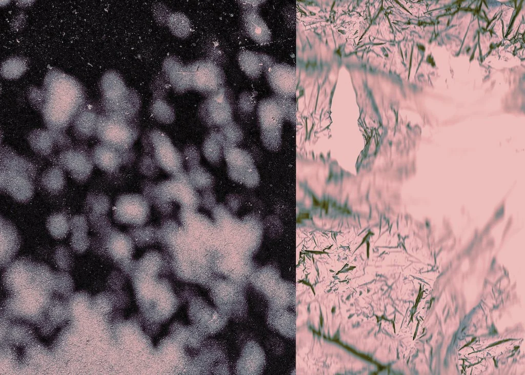 Plastic Pavement — Beth Winterburn