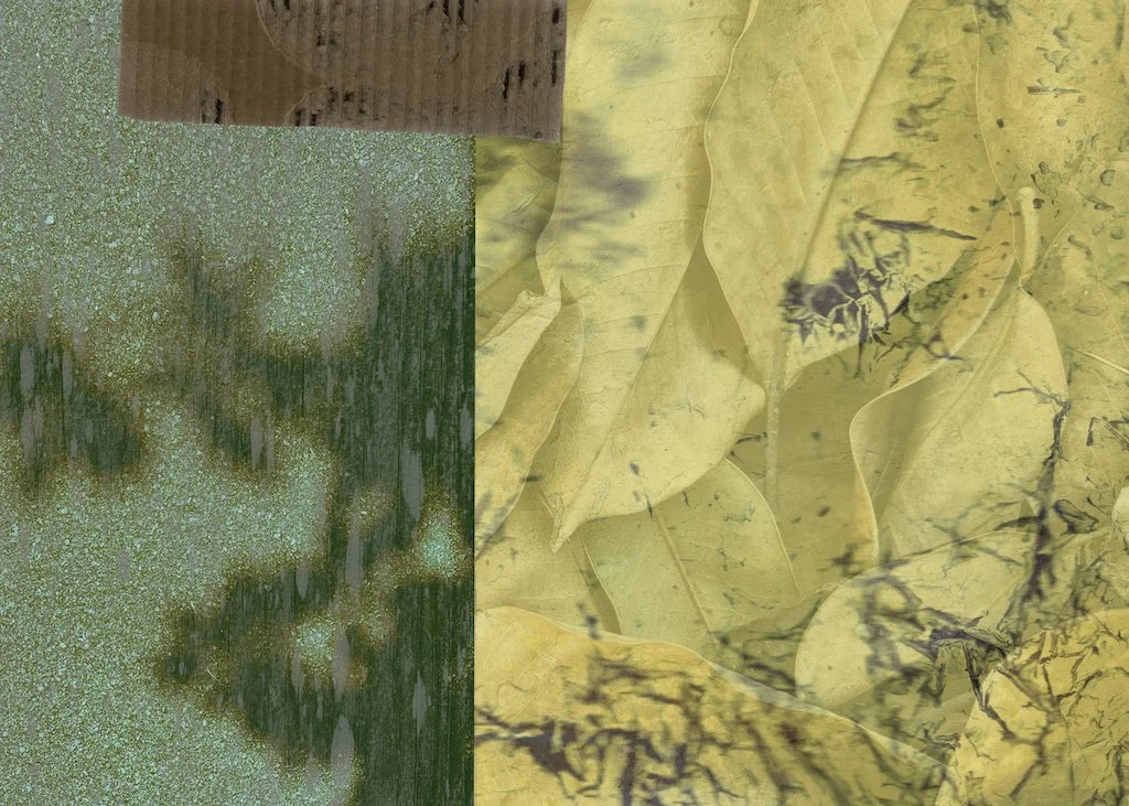 Plastic Pavement — Beth Winterburn