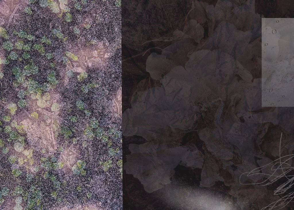 Plastic Pavement — Beth Winterburn