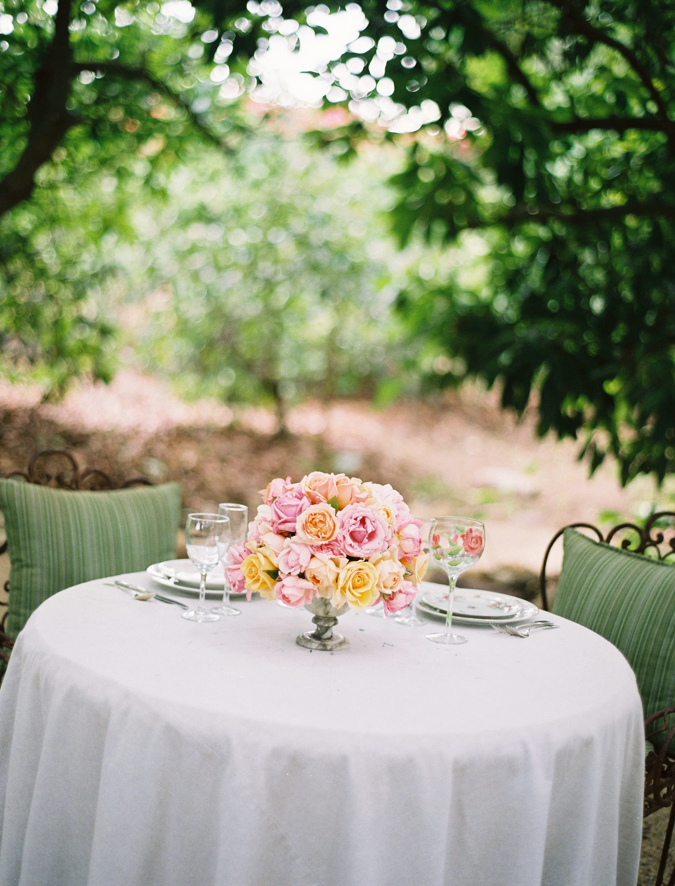 Weddings and Parties — Rose Story Farm