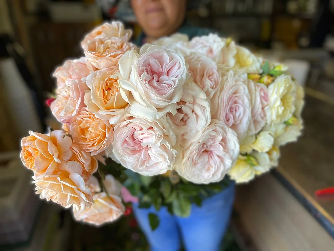 Farm Tours — Rose Story Farm