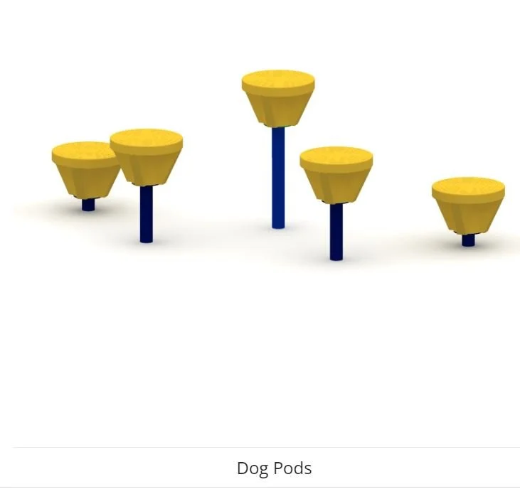 Downtown Dog Park — C.A.R.E.S. - Burien Animal Shelter