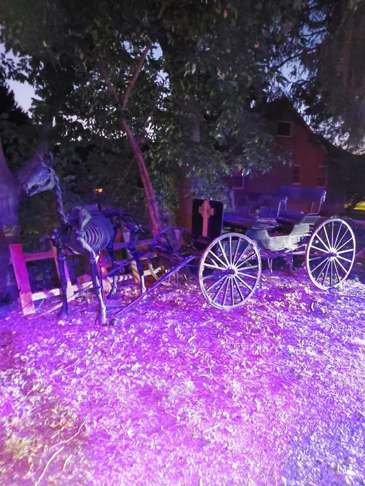 Rules, Info and Directons — Andover Haunted House