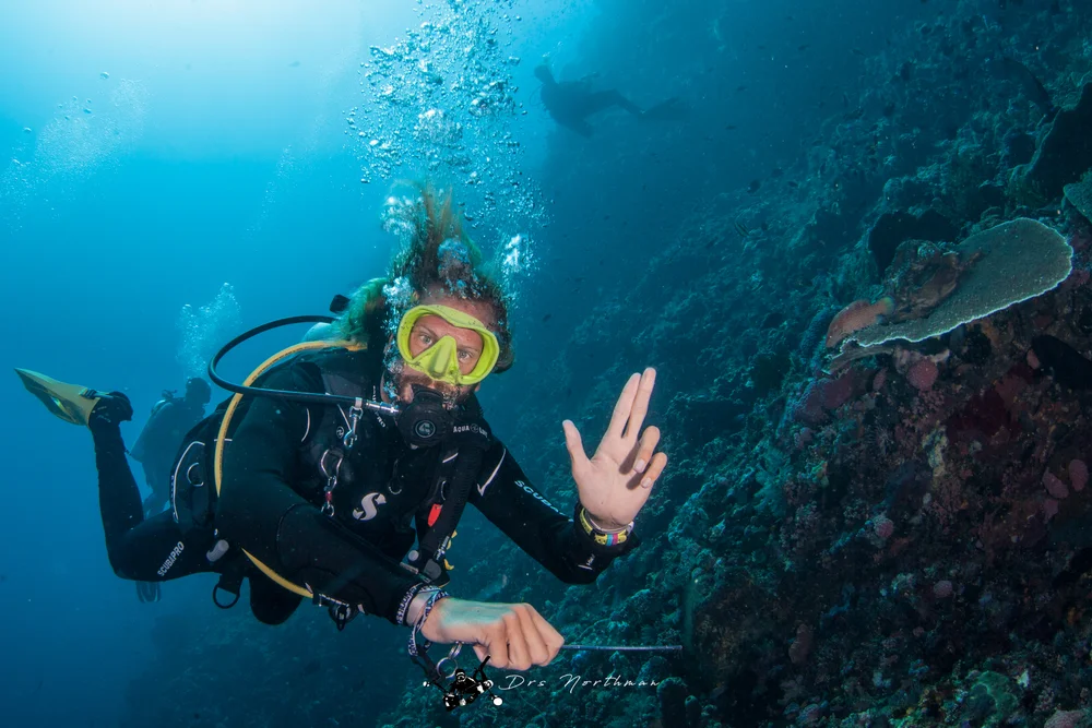 Gallery — Dive Central Gili - One of Gili Trawangan's Premier Dive Resorts