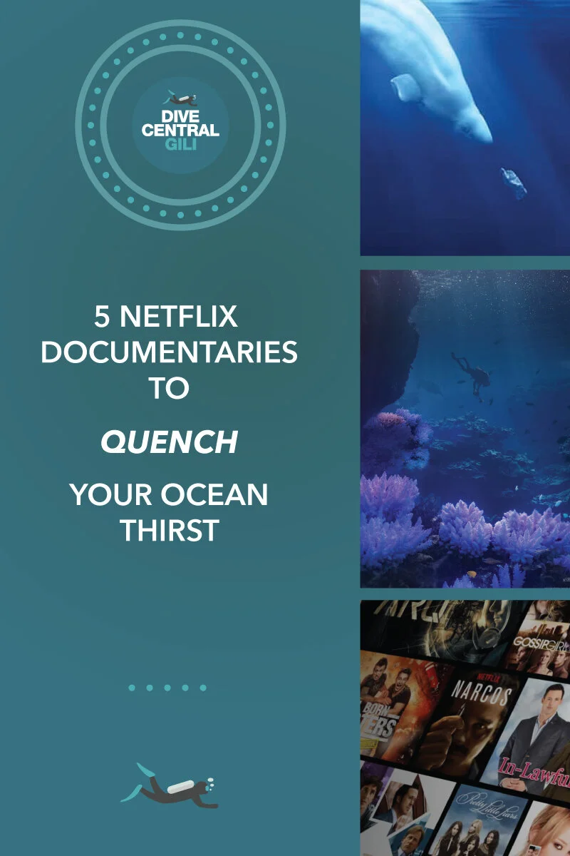5 Netflix Documentaries To Quench Your Ocean Thirst — Dive Central Gili ...