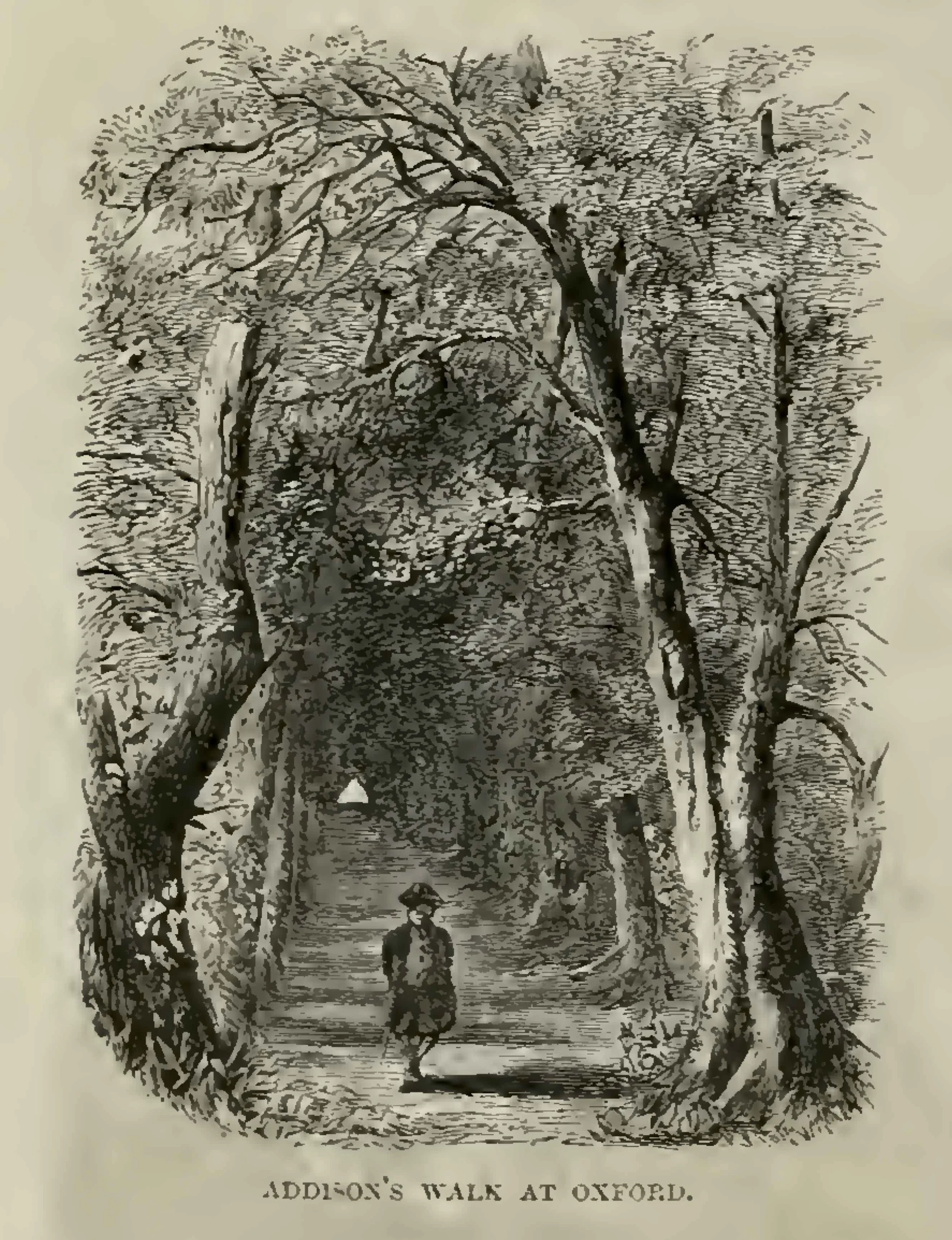 III: Digression — MIAC :: The Mind is a Collection