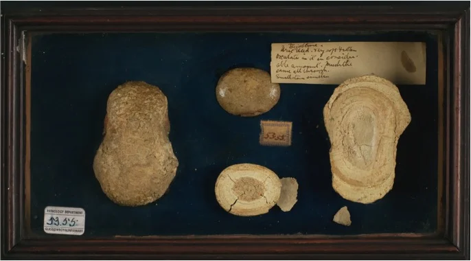 IV: Interiority — MIAC :: The Mind is a Collection