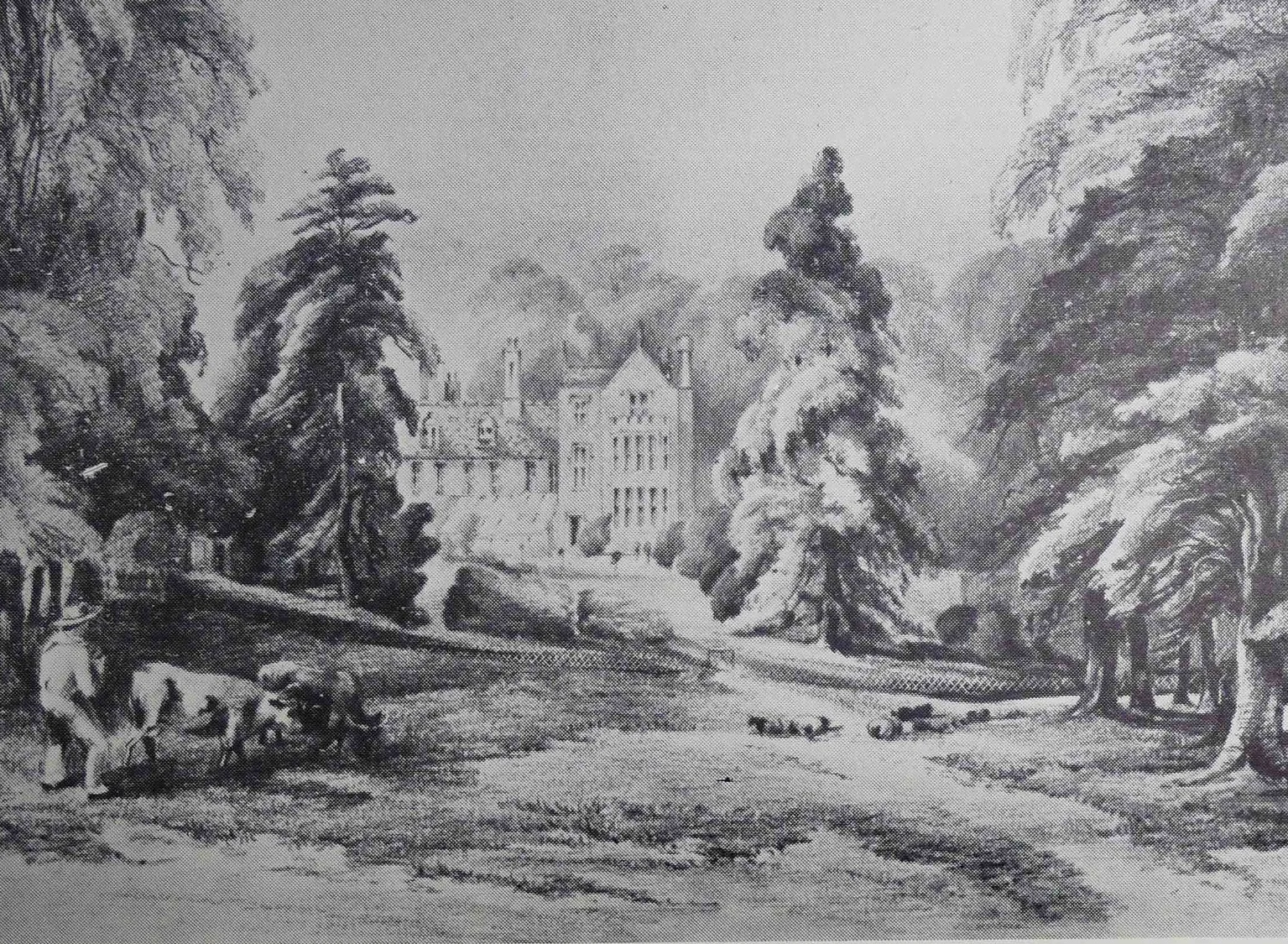 14 Addison's Walk — MIAC :: The Mind is a Collection