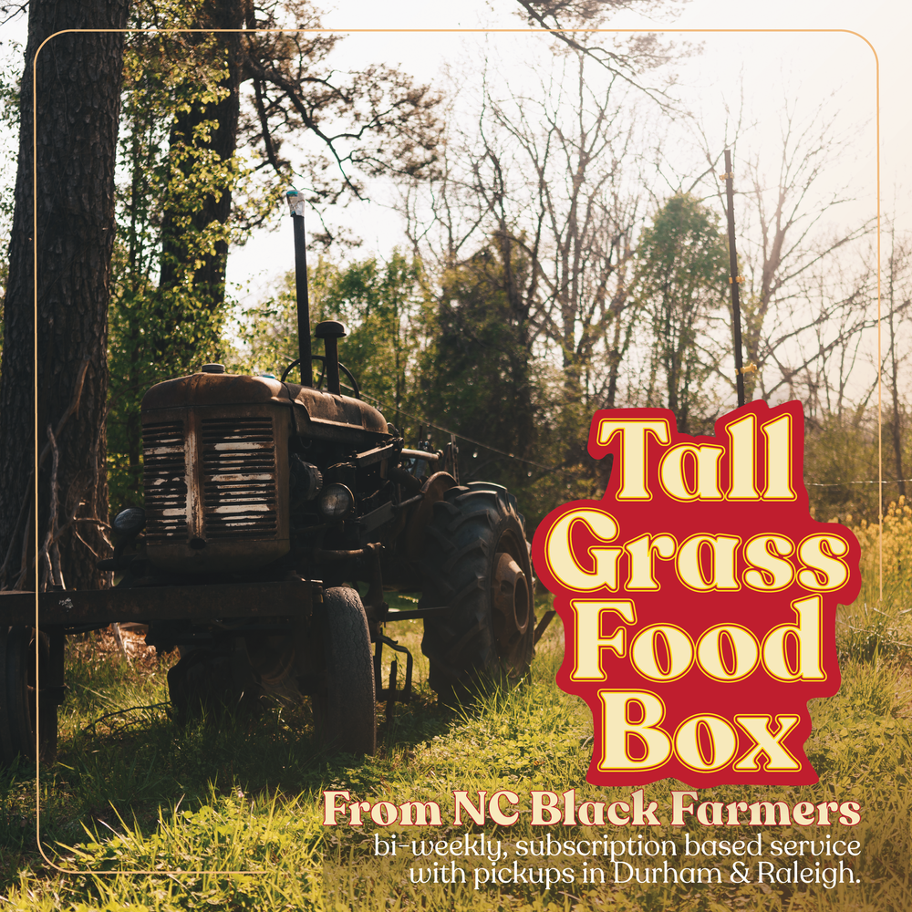 Cultural Organizing — Derrick Beasley