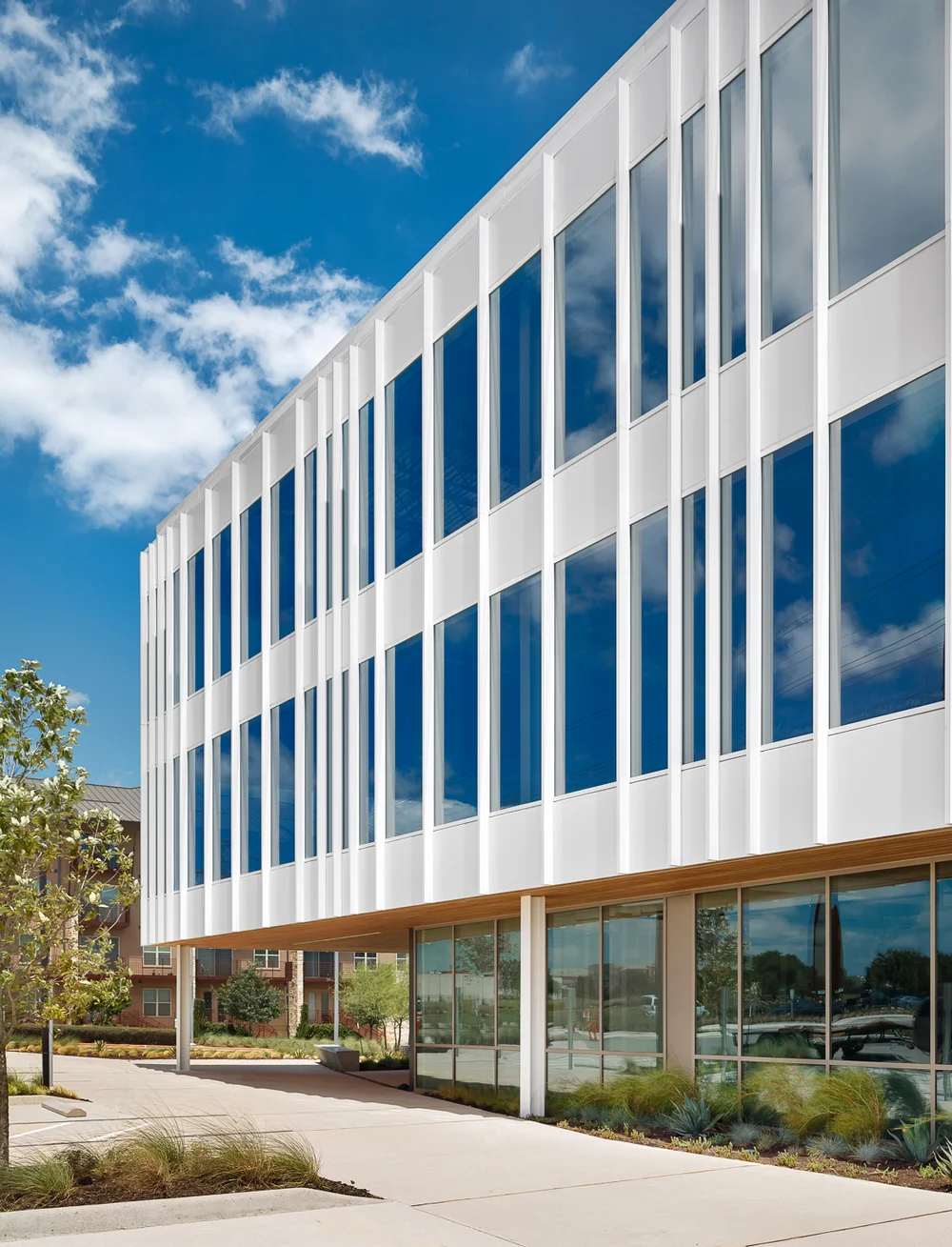 Domain 5 — sixthriver