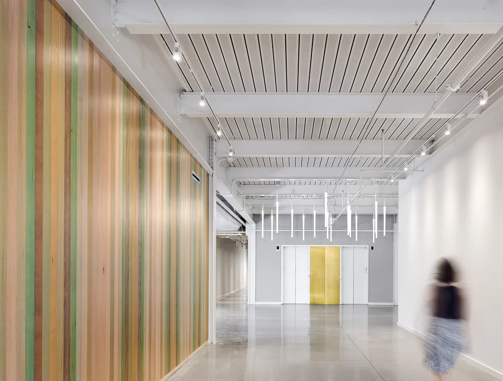 Domain 5 — sixthriver