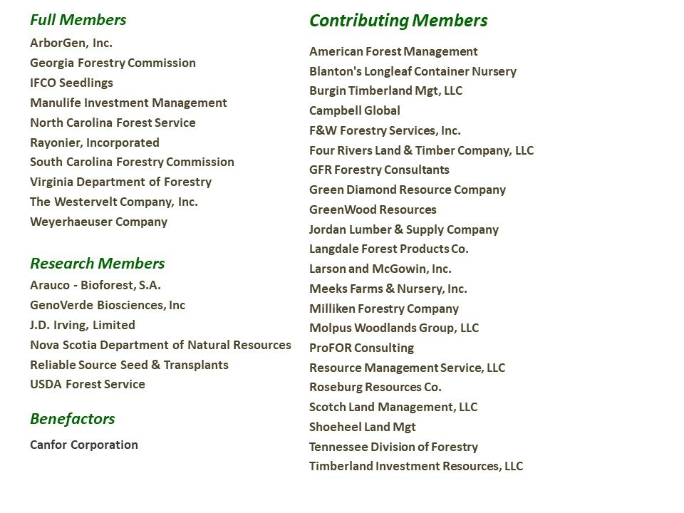 Tree Improvement Program