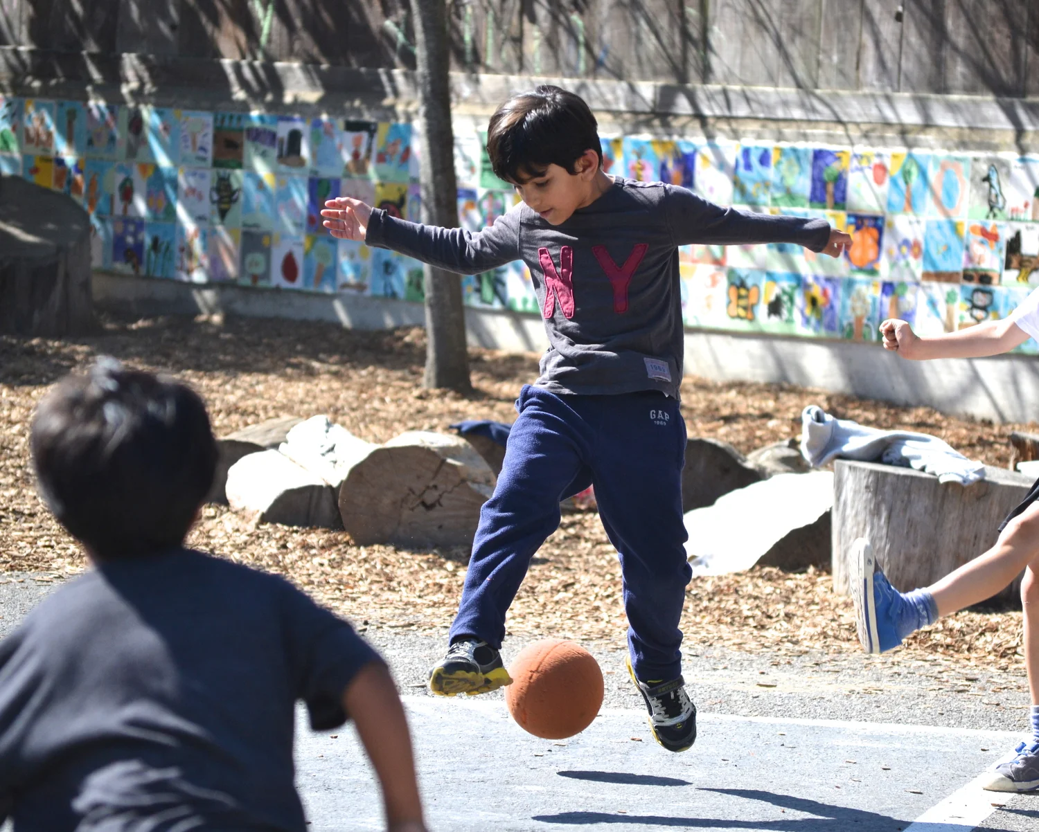 Our Programs — Claire Lilienthal