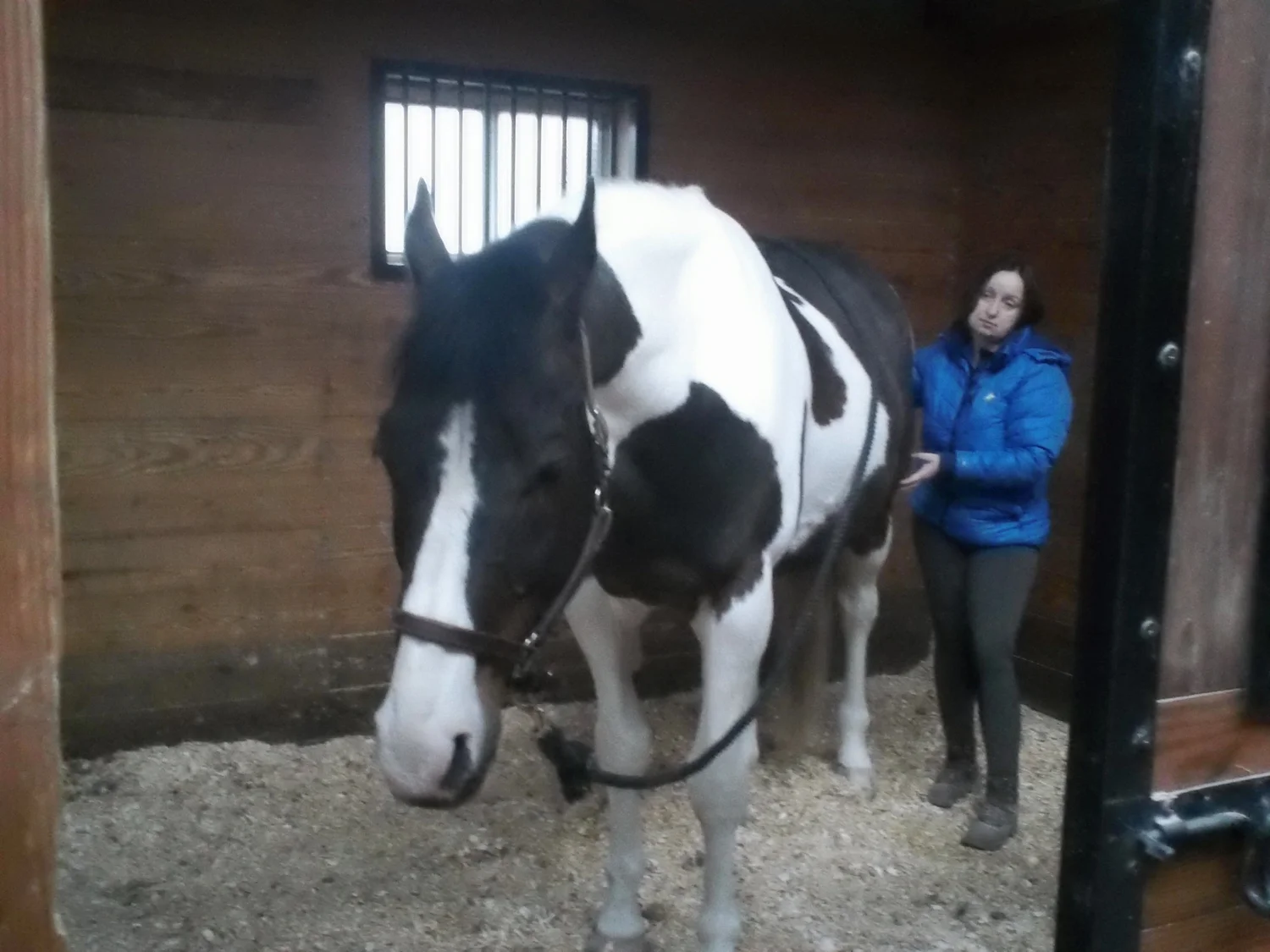 The Value Of Subtle Communication — Healing Hands