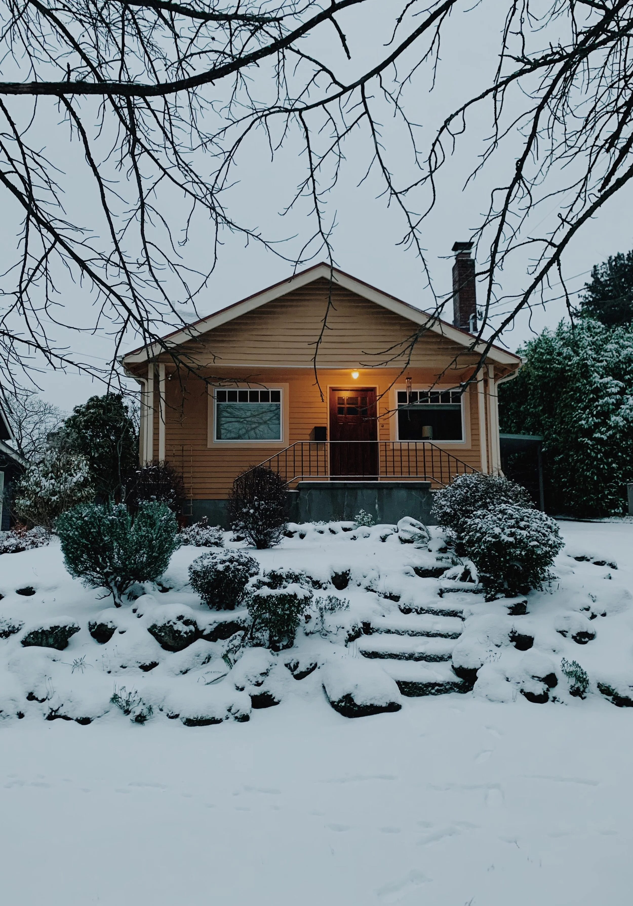 PORTLAND SNOWPOCALYPSE 2021 — Andi Askar