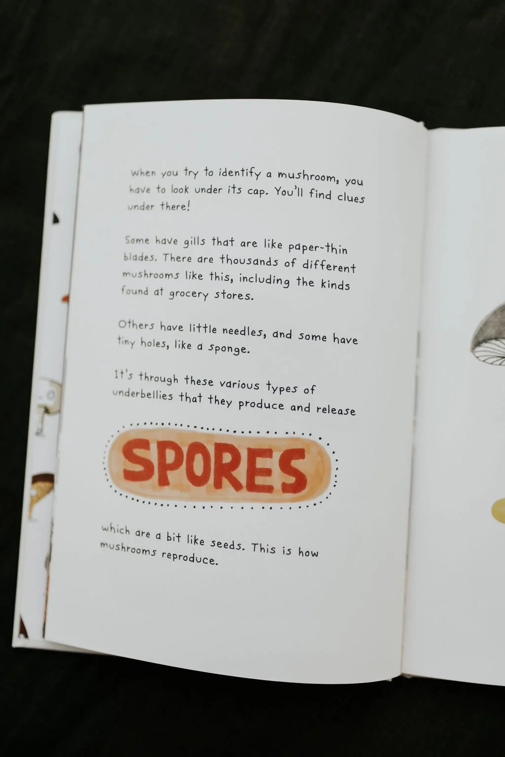 The Mushroom Fan Club Book — The Perennial Homestead