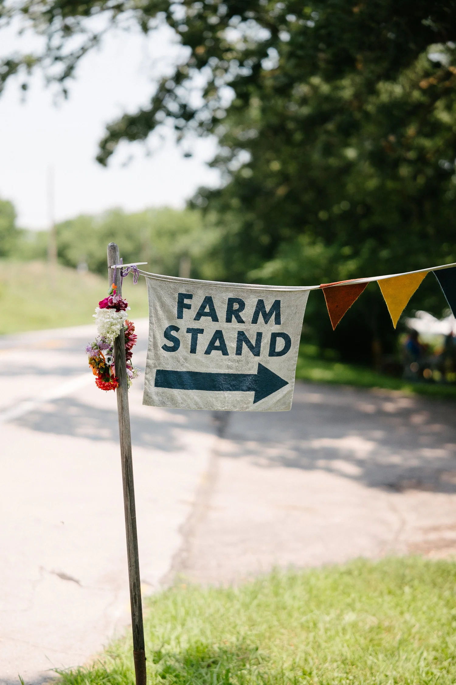 The Perennial Homestead