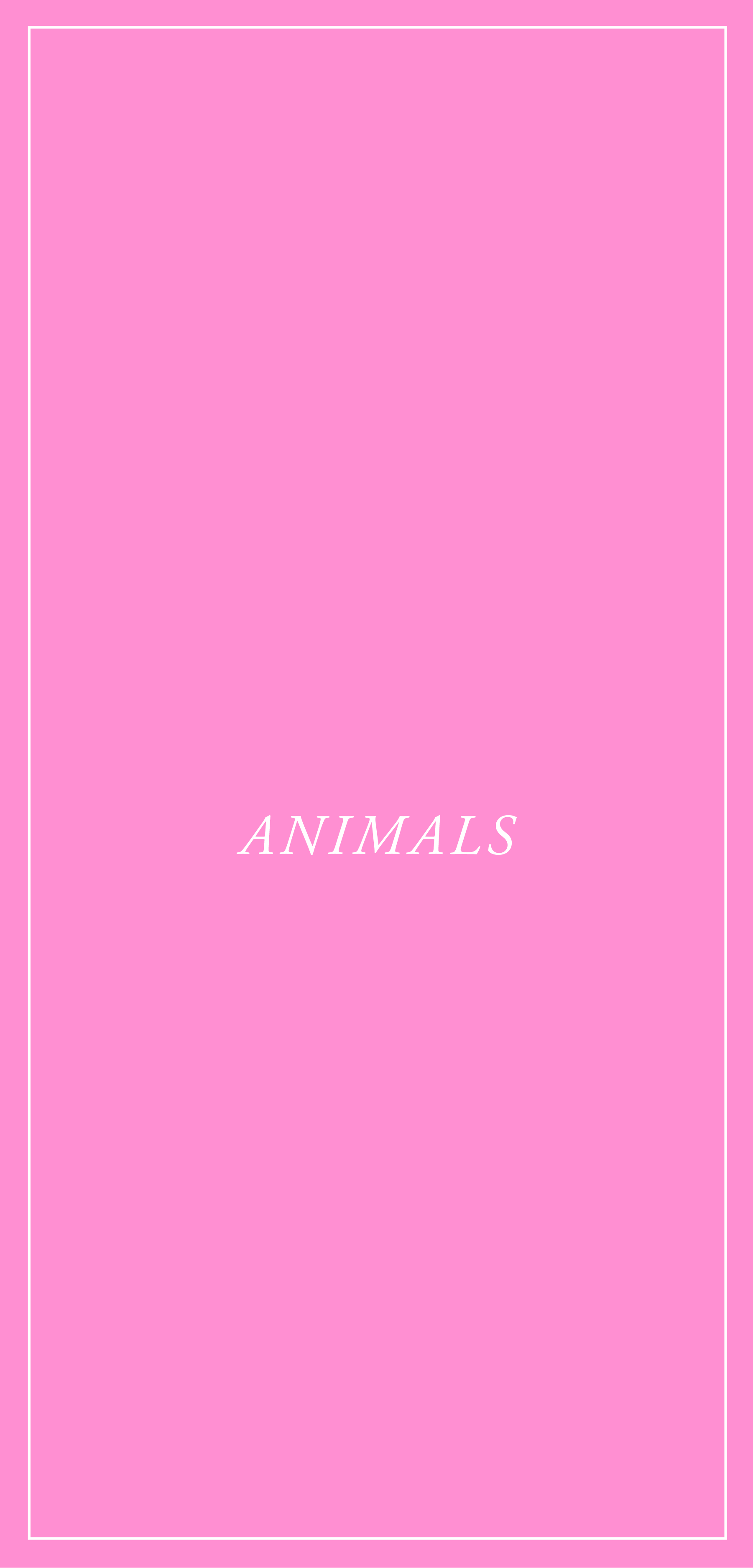 Nicole Cicak | Chicago Illustrator | Home