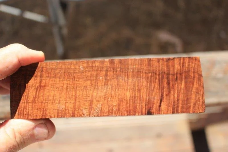 Shop — The Timber Joint