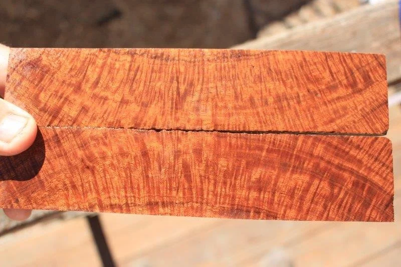 Ringed Gidgee knife scale 110 195x40x20 — The Timber Joint