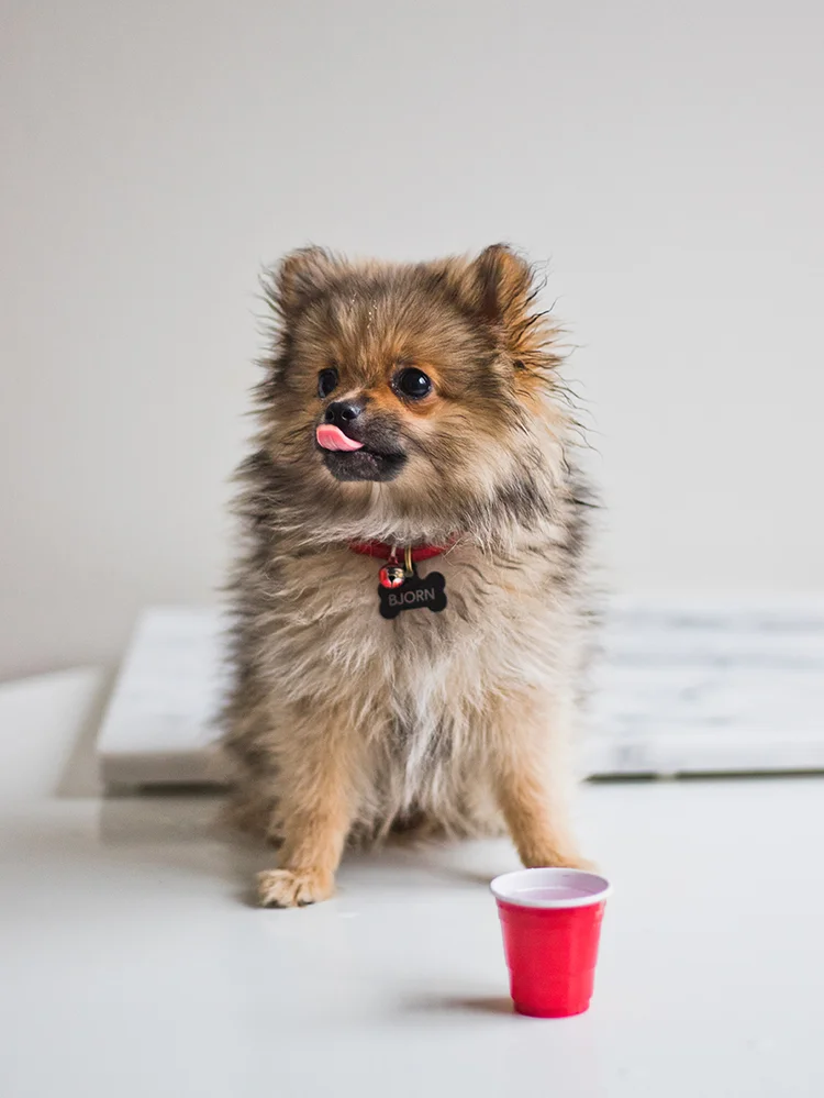 BABY BJORN! — TKO PAINTINGS