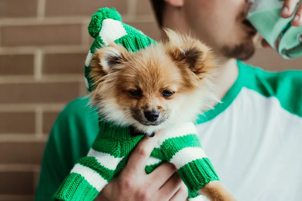 BABY BJORN! — TKO PAINTINGS