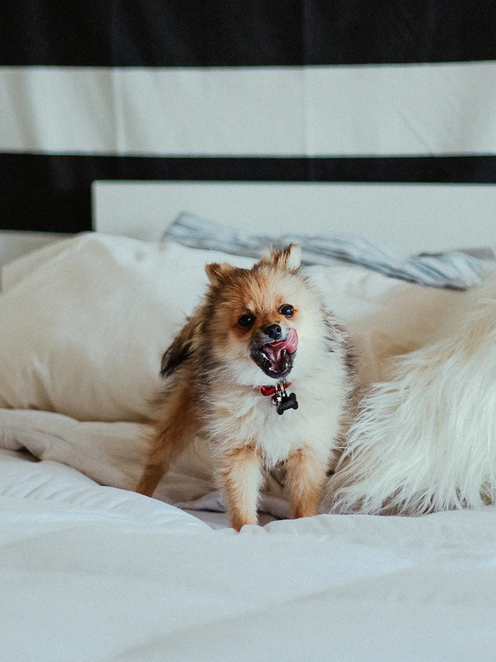 BABY BJORN! — TKO PAINTINGS