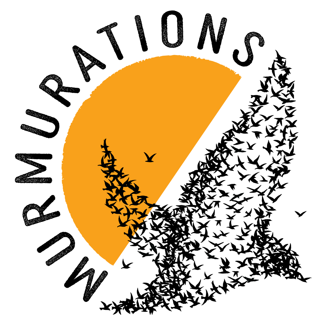 Murmurations Aerial