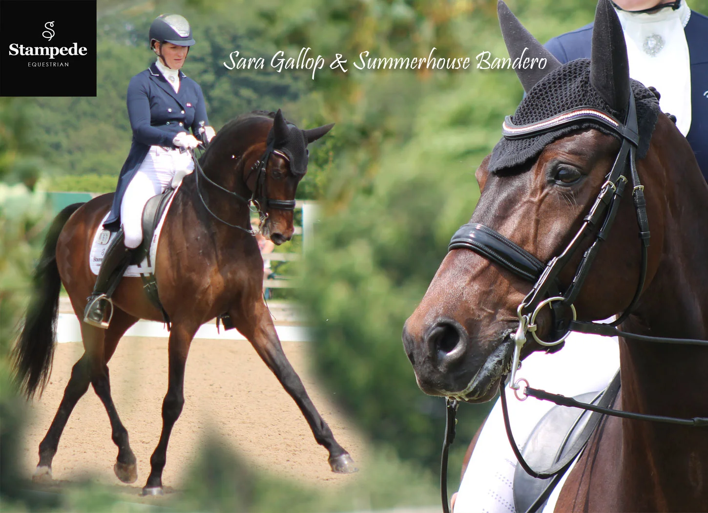 Stampede Equestrian — Sponsored Riders & models