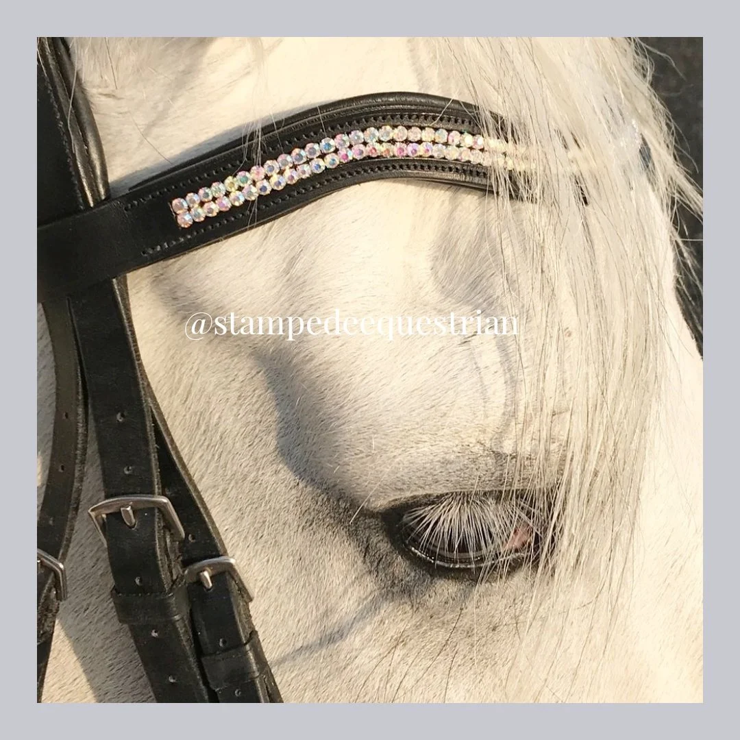 Stampede Equestrian — Browbands