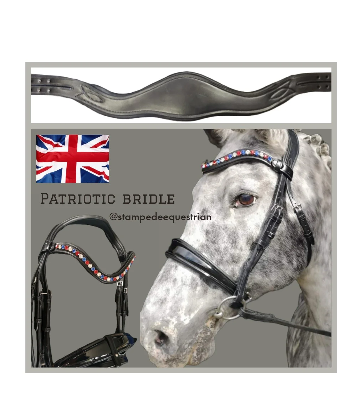 Stampede Equestrian — Stampede Equestrian English leather anatomical ...