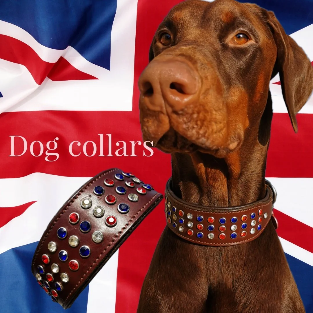 Stampede Equestrian — Dog Collars