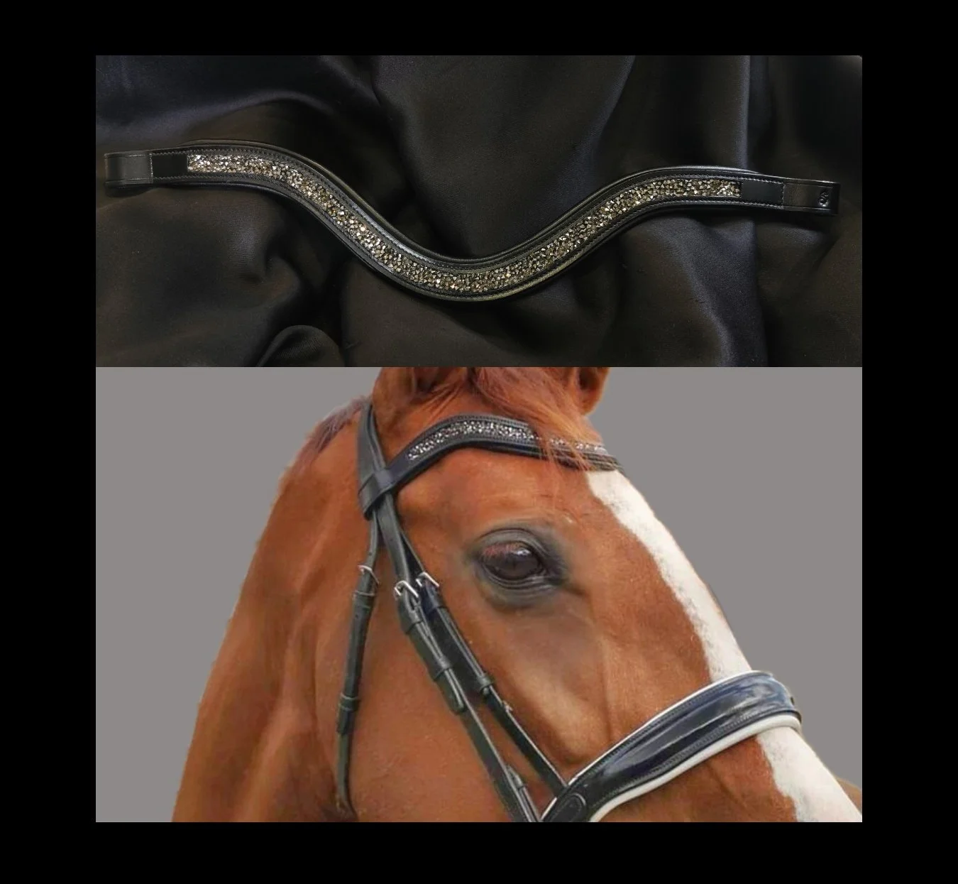 Stampede Equestrian — Stampede Equestrian English leather anatomical ...