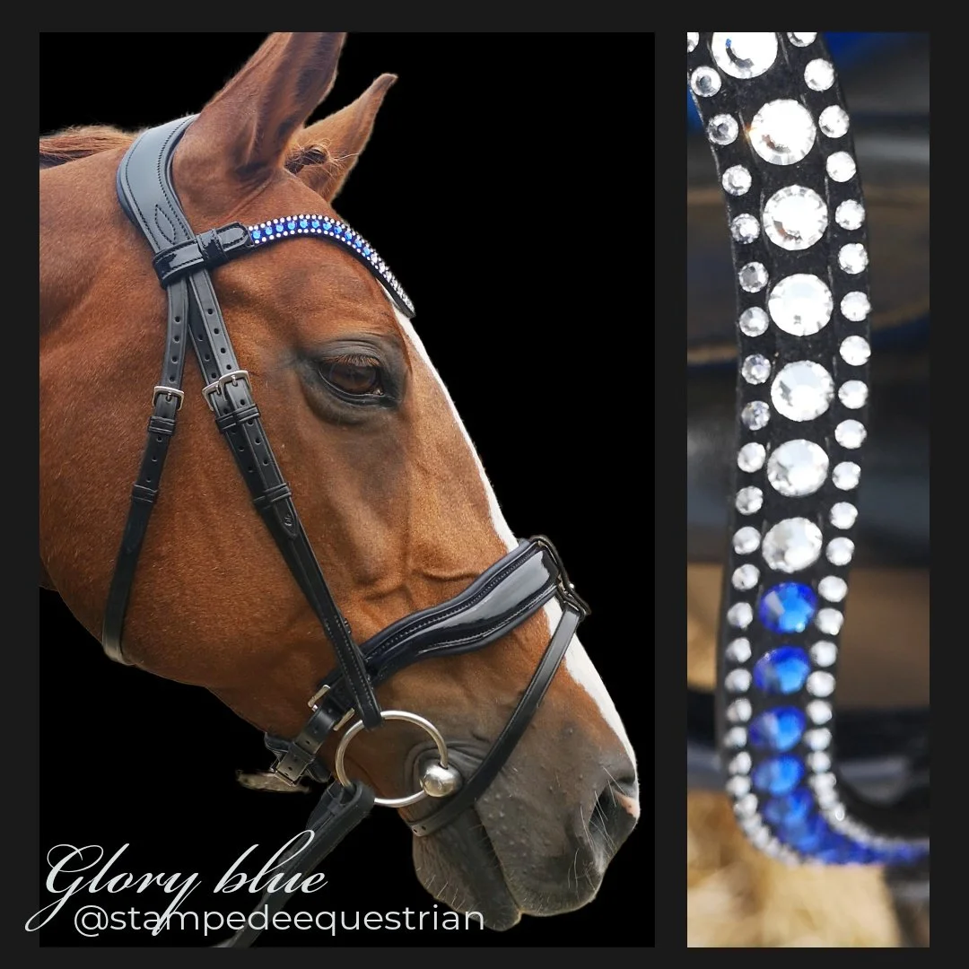 Stampede Equestrian — Stampede Equestrian English leather anatomical ...