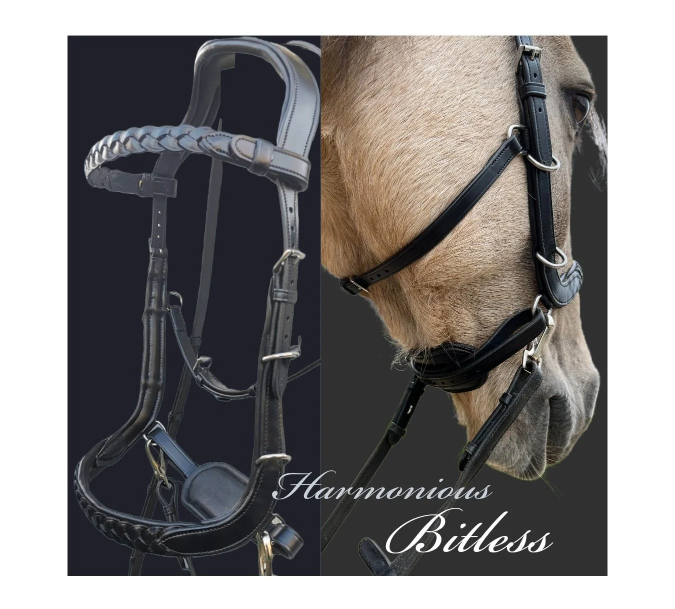 Stampede Equestrian — Stampede Equestrian English leather anatomical ...