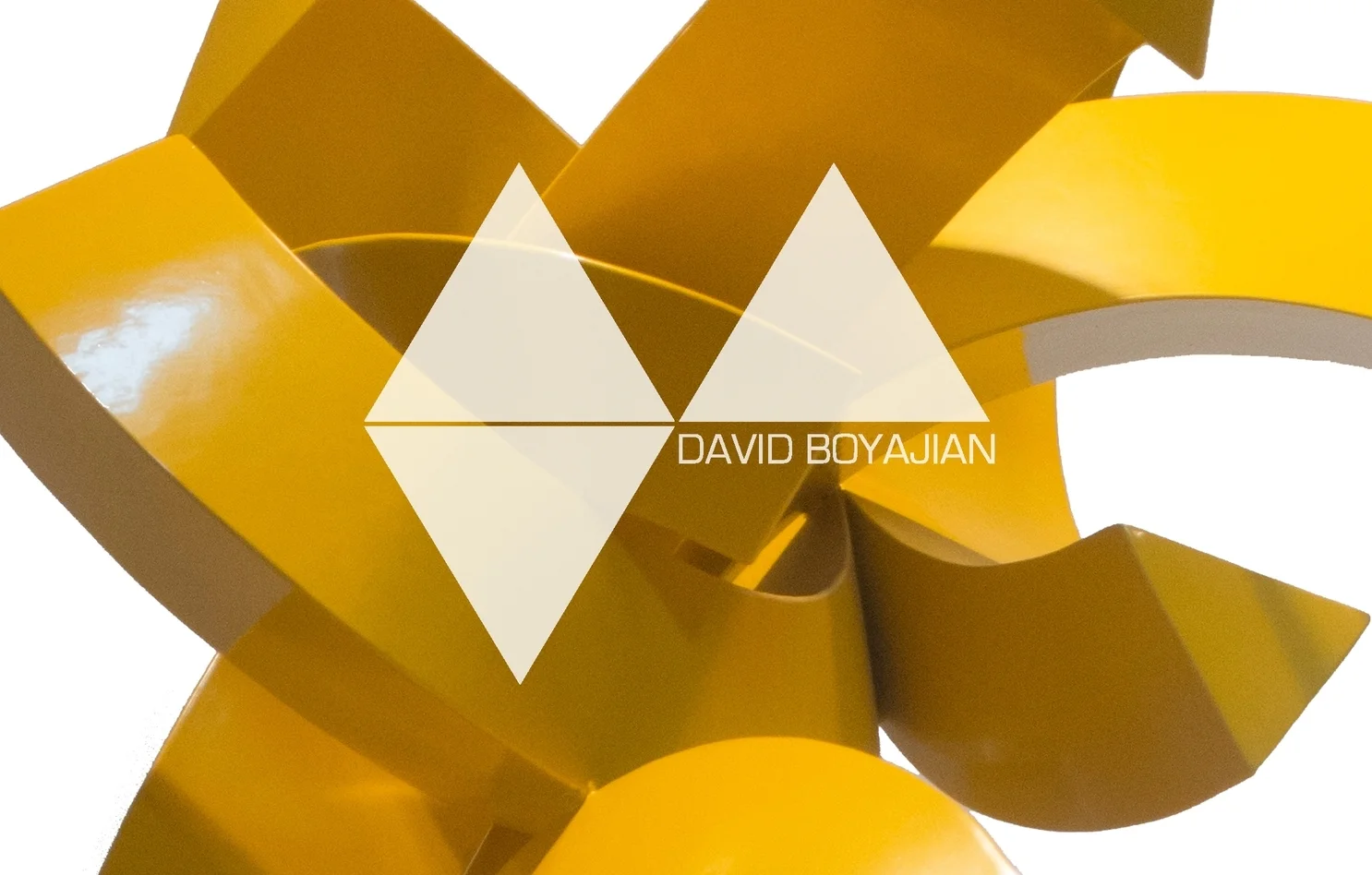DAVID BOYAJIAN