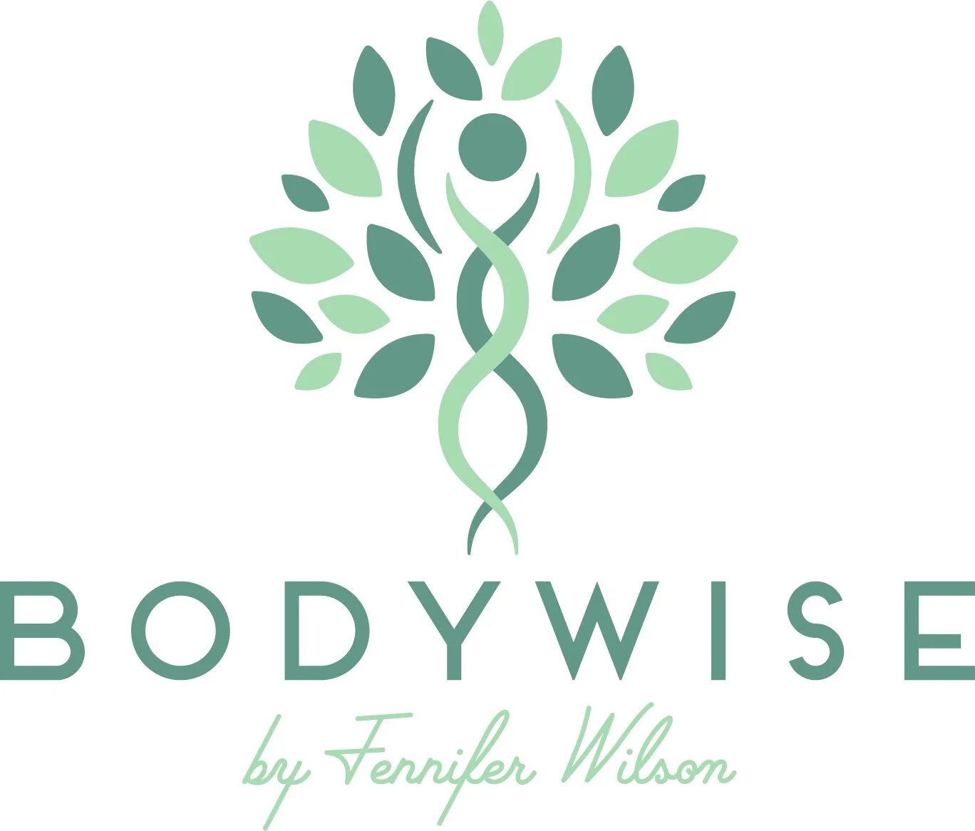 Pilates Apparatus — Bodywise, Inc.