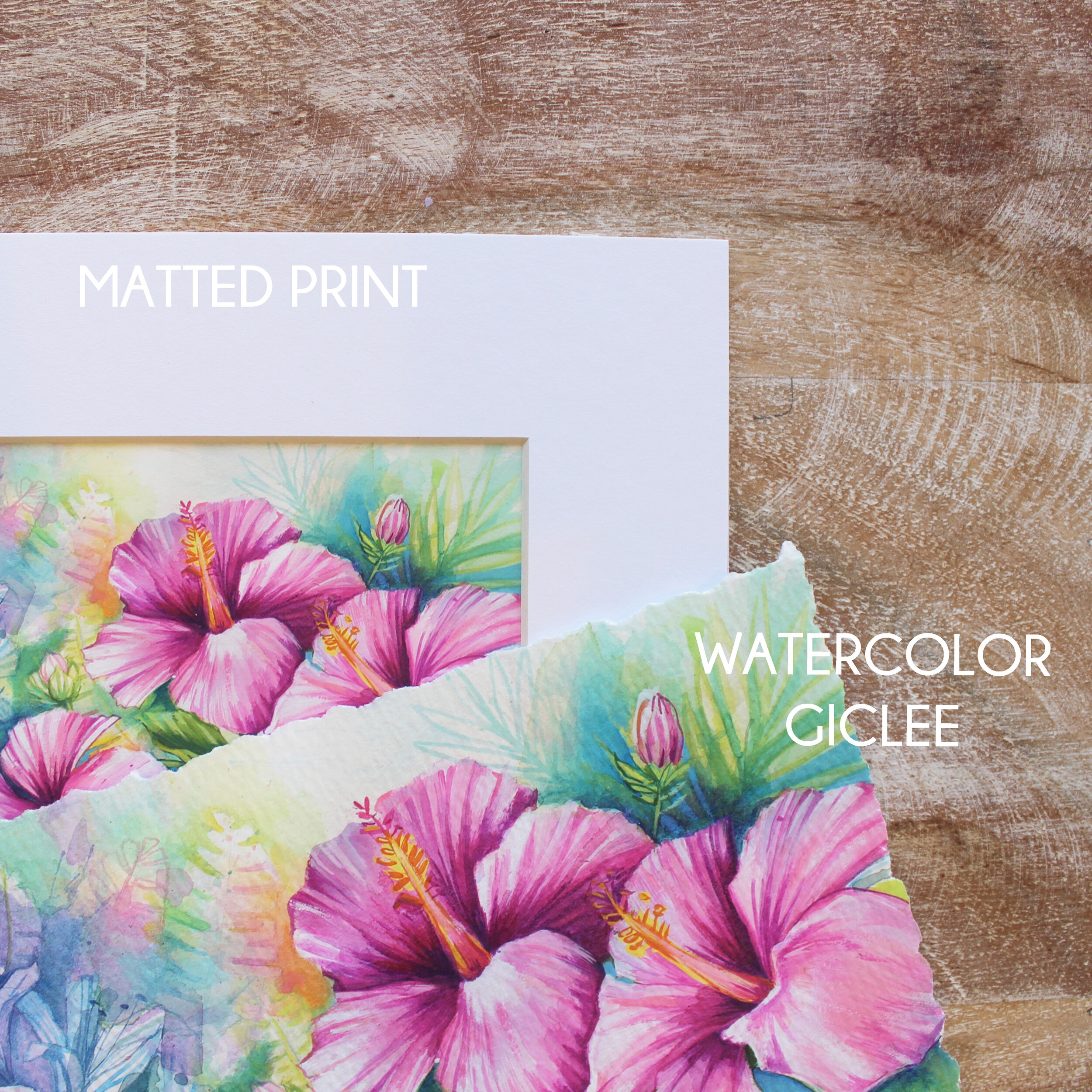 Lauren Roth Art | Custom Prints, Apparel, & Home Decor